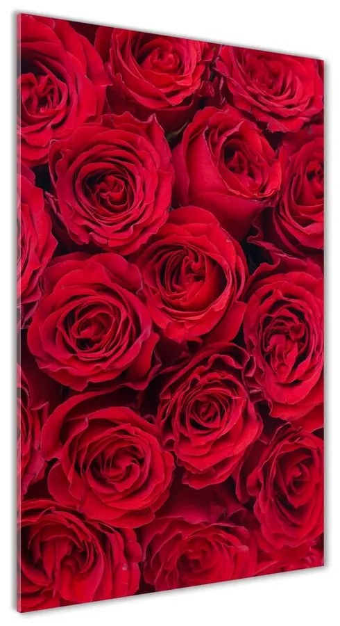 Wallmuralia Foto obraz akrylový do obýváku Červené růže 50x100 cm