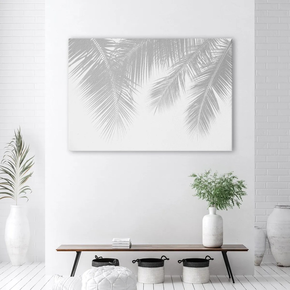 Obraz na plátně, Šedé palmové listy - 60x40 cm