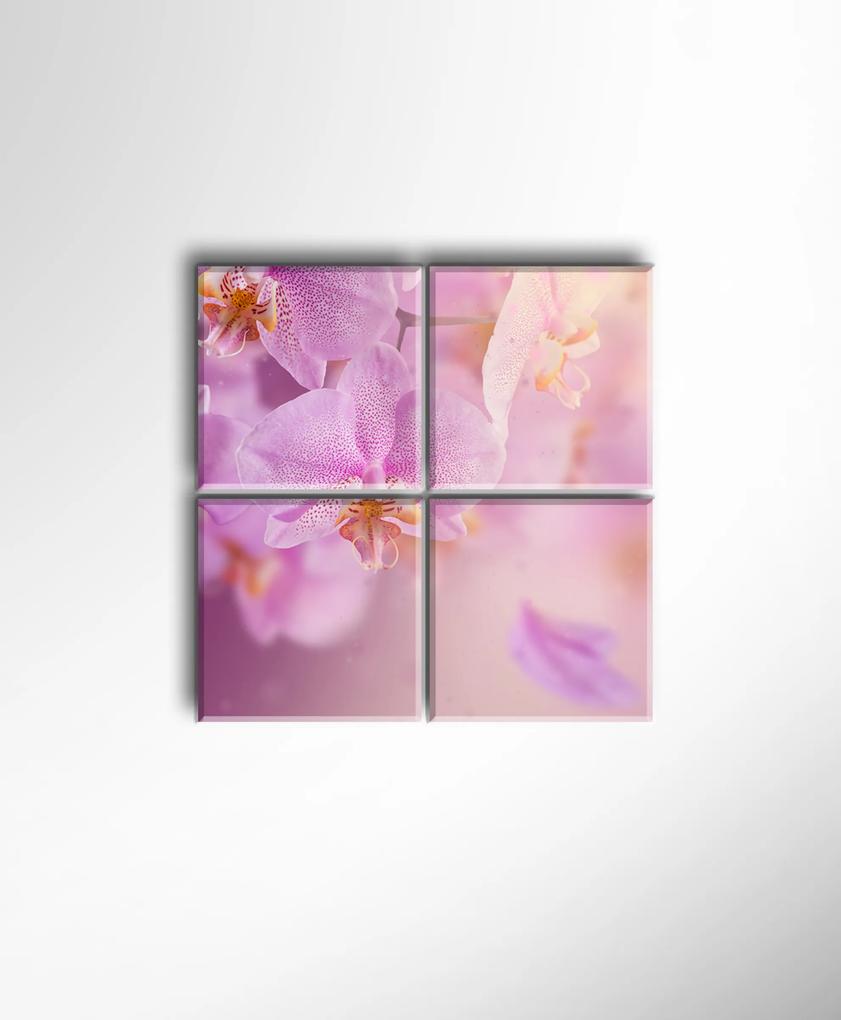 Malvis ® Obraz rozkvetlá orchidej ROZMĚR (šířka x výška): pětidílné schody obdélník 150x75 cm