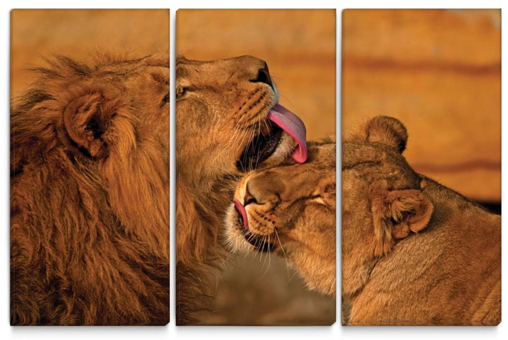 Malvis ® Vícedílný obraz - Lev a lvice Velikost: 120x80 cm