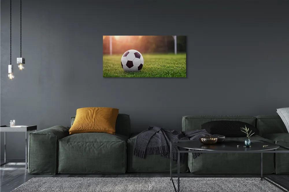 Obrazy na plátně Fotbal tráva gateway 100x50 cm