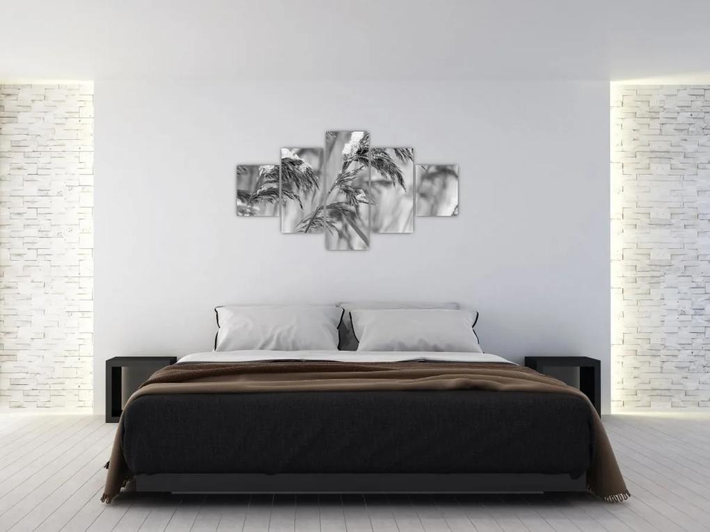 Obraz - Lipnice, černobílá (125x70 cm)