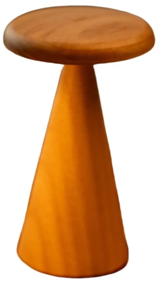 LED stolní lampa v přírodní barvě s dřevěným stínidlem (výška 21 cm) Sylva – Gingko