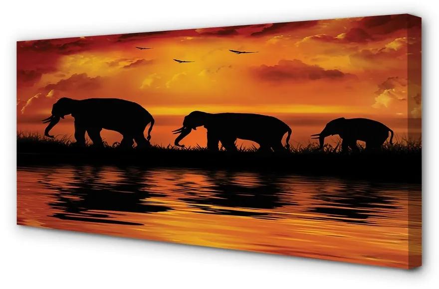 Obrazy na plátně sloni West Lake 100x50cm