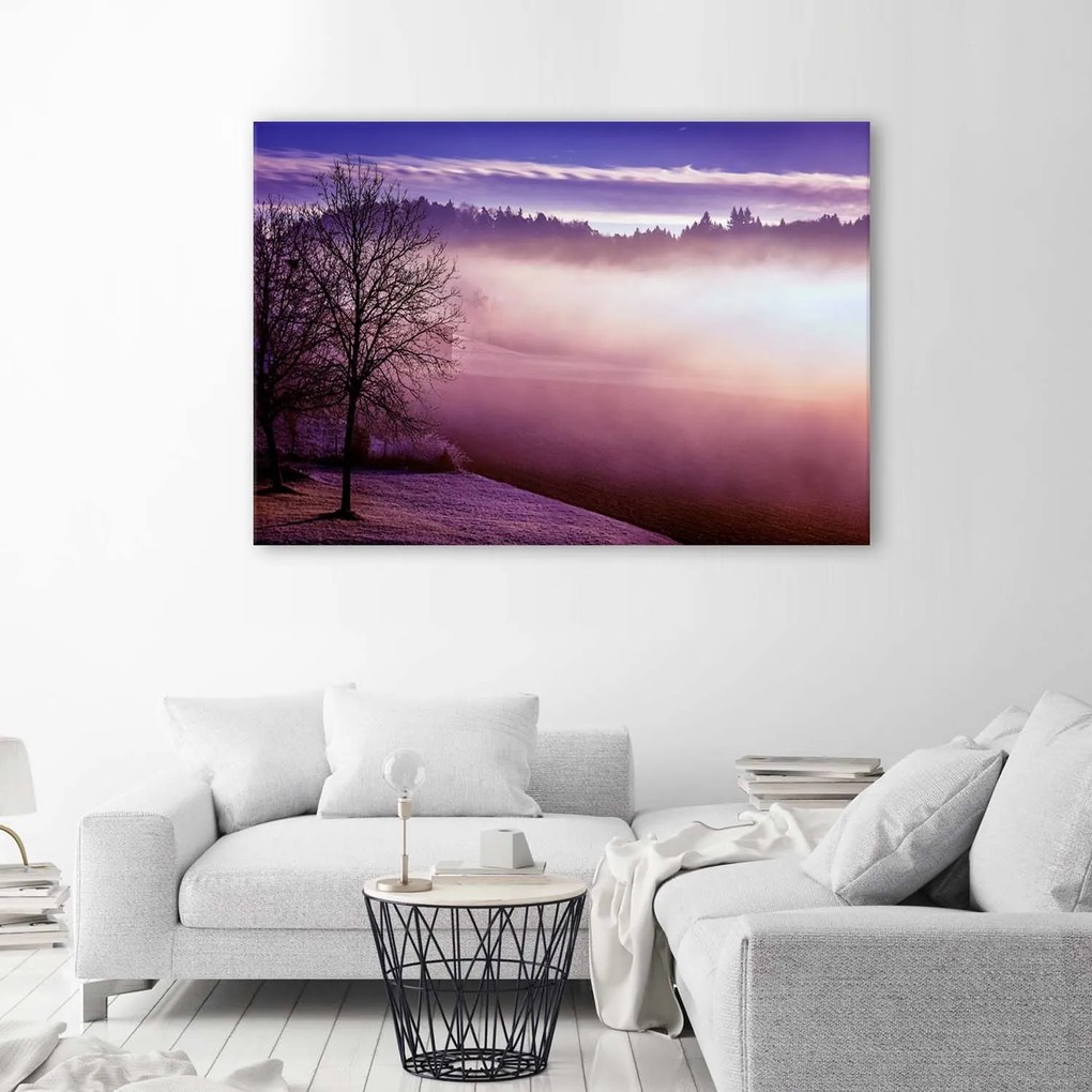 Gario Obraz na plátně Mlha nad jezerem Rozměry: 60 x 40 cm