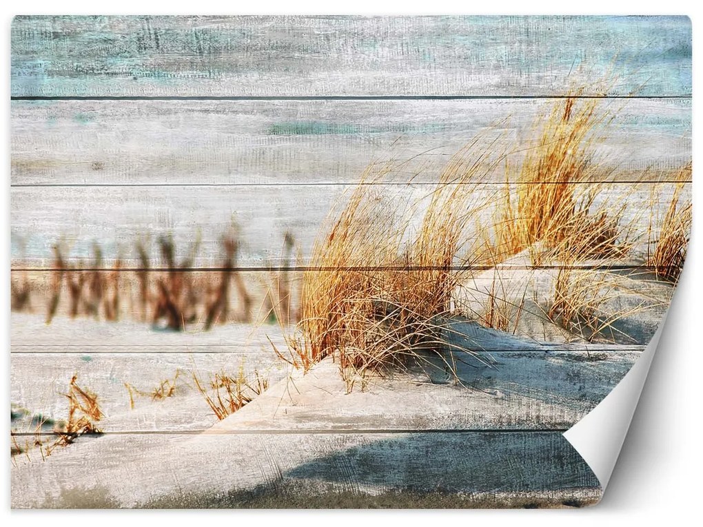 Gario Fototapeta Plážové duny na dřevě Materiál: Vliesová, Rozměry: 200 x 140 cm