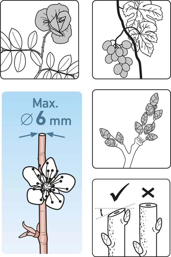 Extol Premium zahradnické přímé 8872105