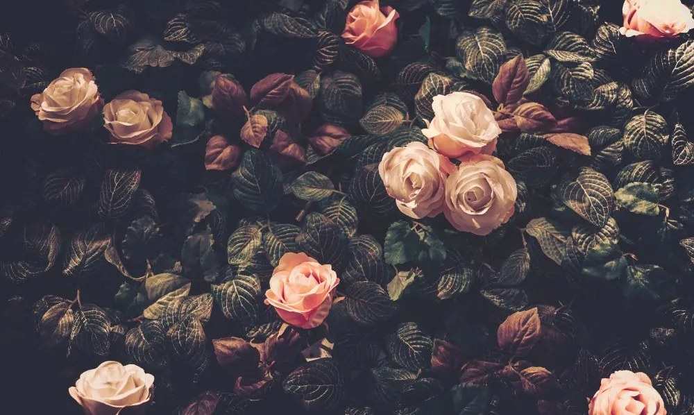 Vícedílný obraz Pastelové Růže Ve Vintage Stylu Nedostatek Nedostatek Přírodní plátno 150x90