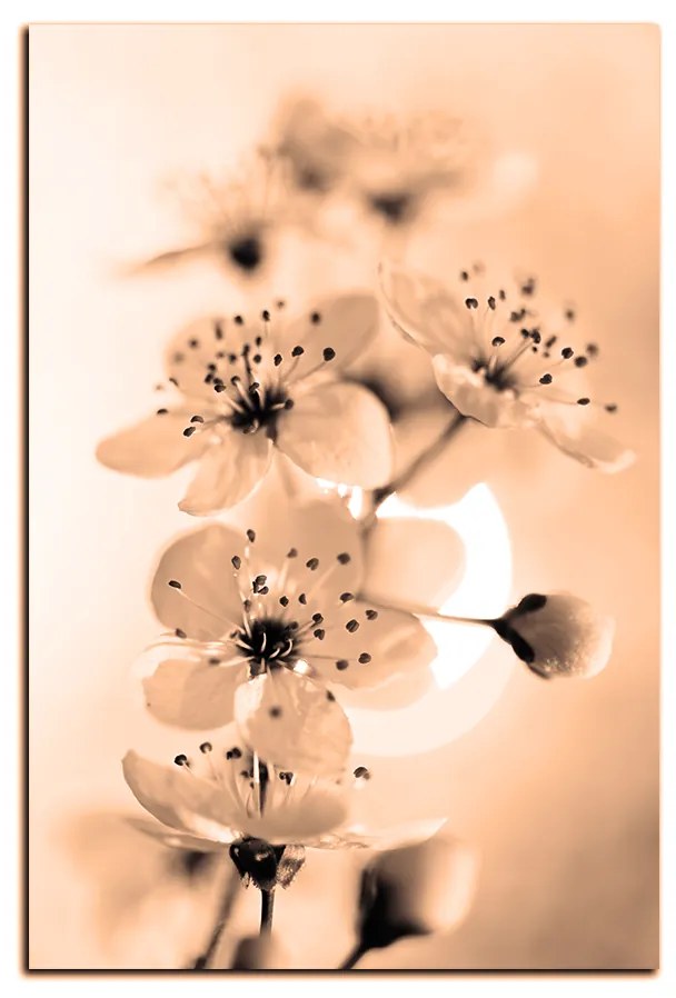 Obraz na plátně - Malé květy na větvi - obdélník 7173FA (60x40 cm)
