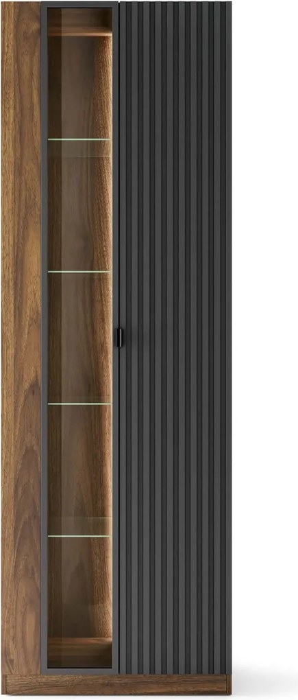 Vitrína s LED osvětlením Radium 11 68 cm ořech Columbia/černá