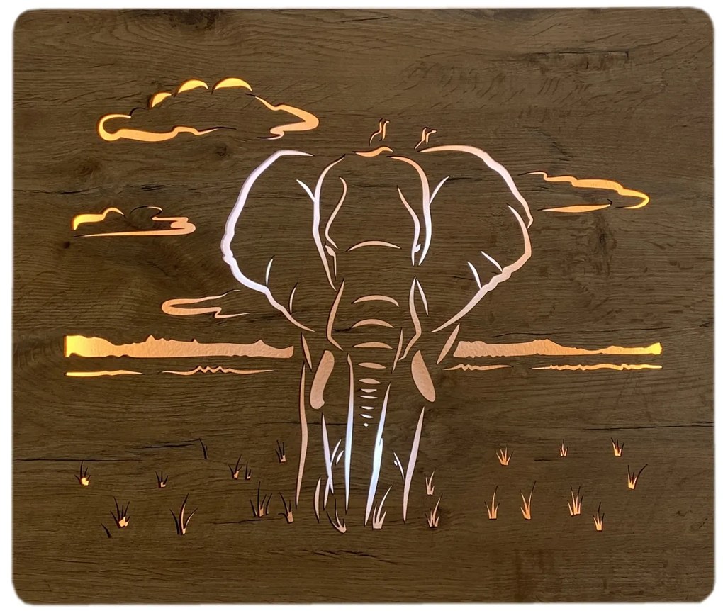 Li-Go "Slon" světelný obraz 230V 65x55cm provedení povrchu: dub světlý