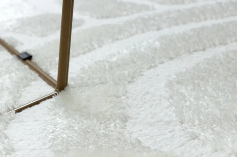 Dywany Łuszczów, Kusový koberec Mode 8629 cream, 200x290, bílá, kancelář