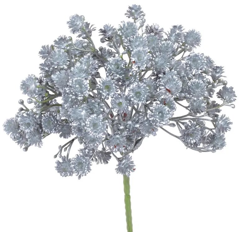 gypsophyla 21 cm - modrostříbrná