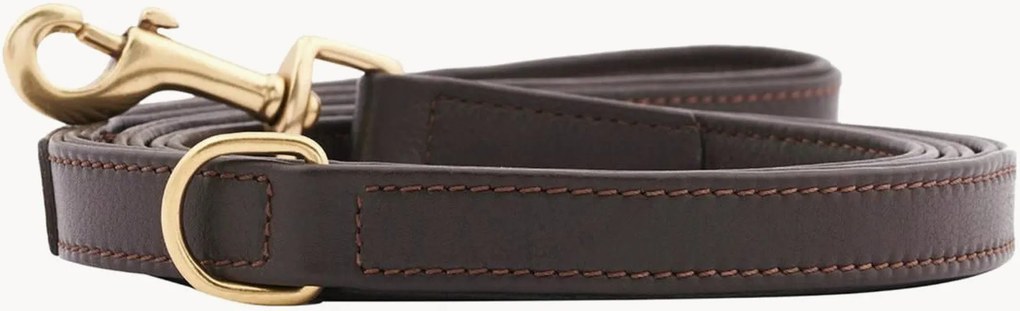 Vodítko pro psa Plain