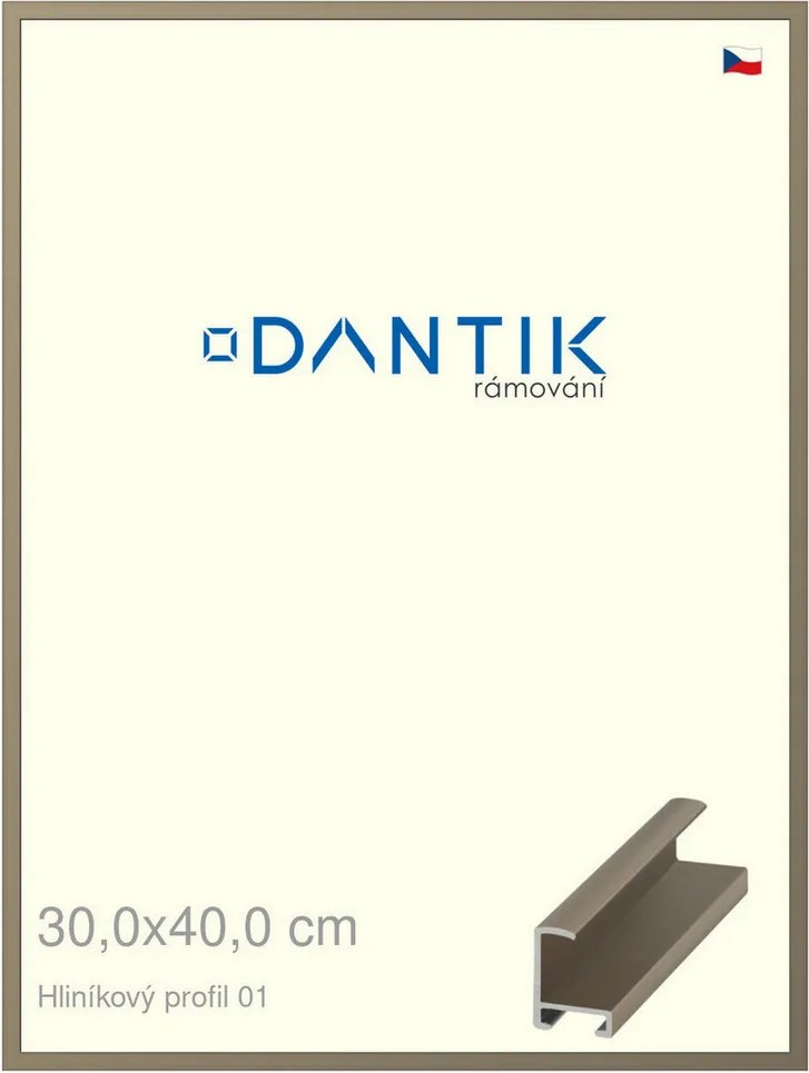 DANTIK rámeček 30x40 | ALU profil 6001 champagne (Plexi Čiré)