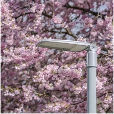 Emos lighting LED veřejné svítidlo SOLIS 70W, 8400 lm, neutrální bílá, IP65 1536020002