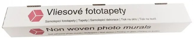 Vliesové fototapety na zeď 3D bílá chodba | MS-5-0036 | 375x250 cm