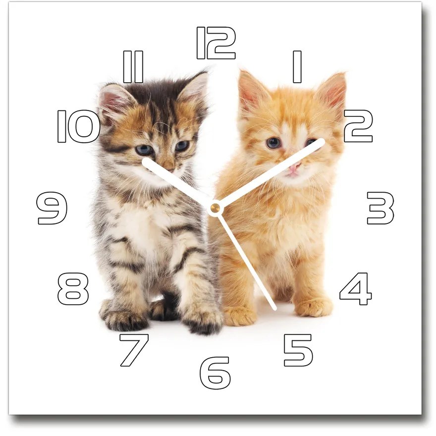 Wallmuralia Skleněné hodiny čtverec Hnědá a červená kočka 30x30 cm