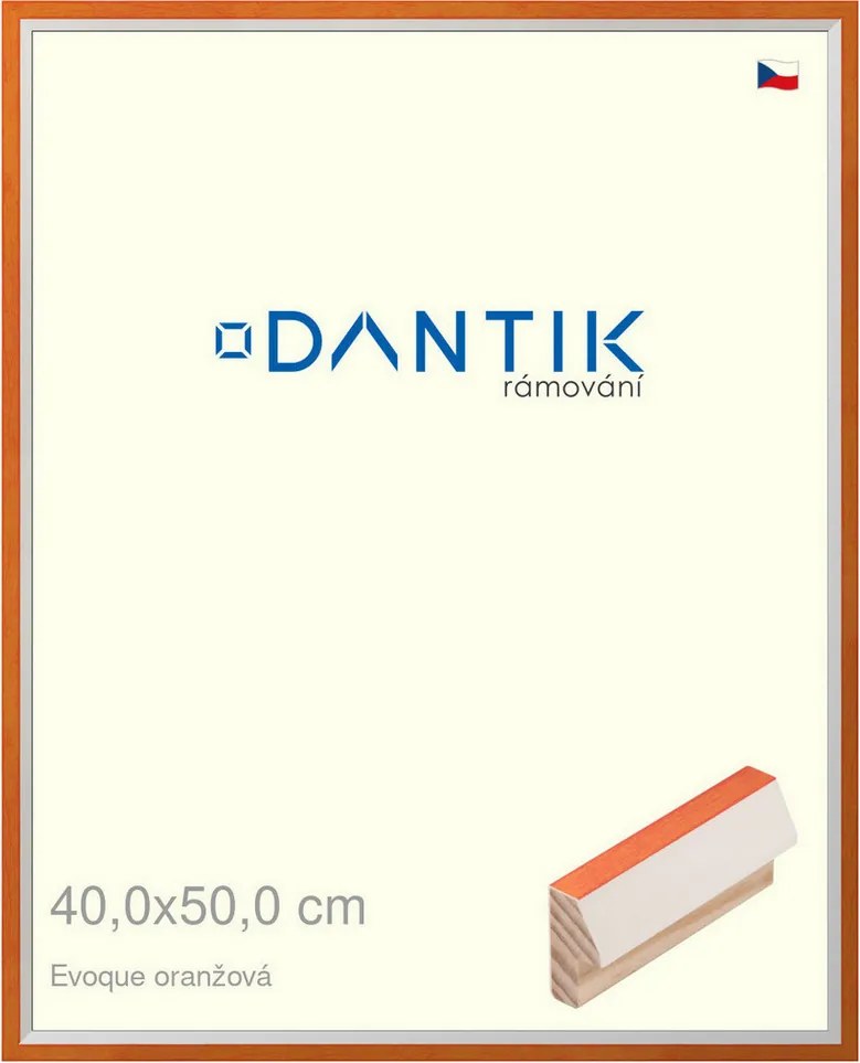 DANTIK rámeček 40x50 | EVOQUE oranžová (Sklo Čiré)