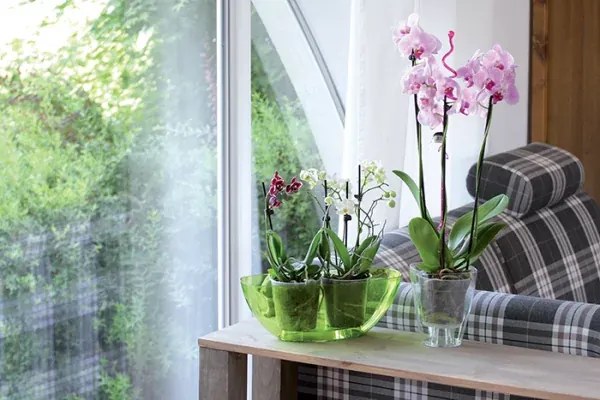 Prosperplast Květináč COUBI ORCHID hranatý bezbarvý transparentní 13,2 cm