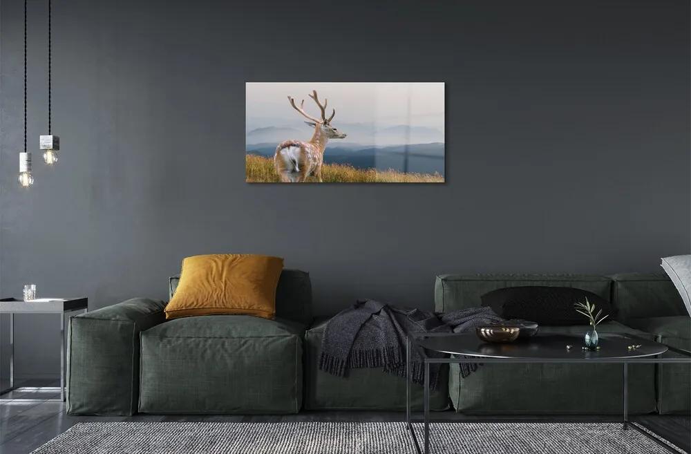 Obraz na skle jelen hory 140x70 cm
