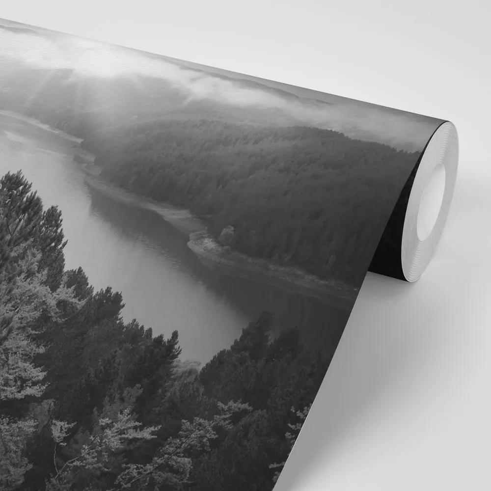 Samolepící fototapeta řeka uprostřed lesa v černobílém provedení