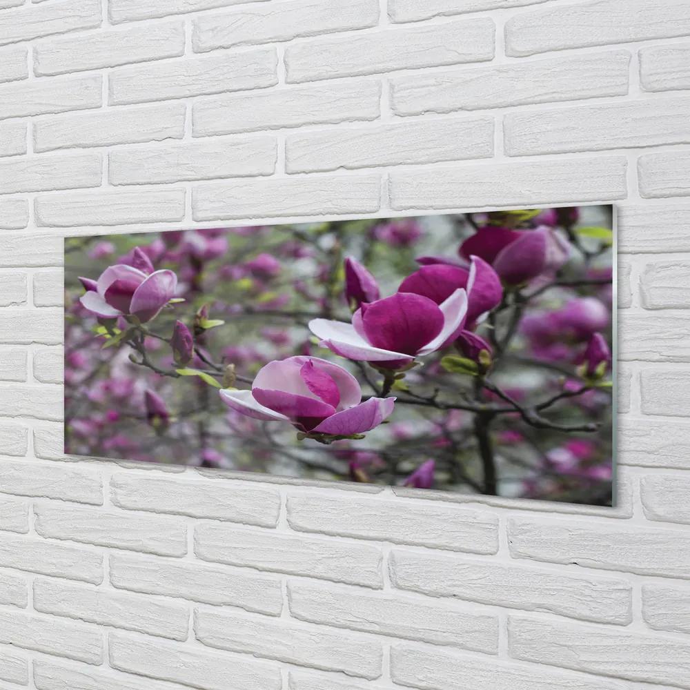 akrylový obraz fialové magnolie 120x60 cm