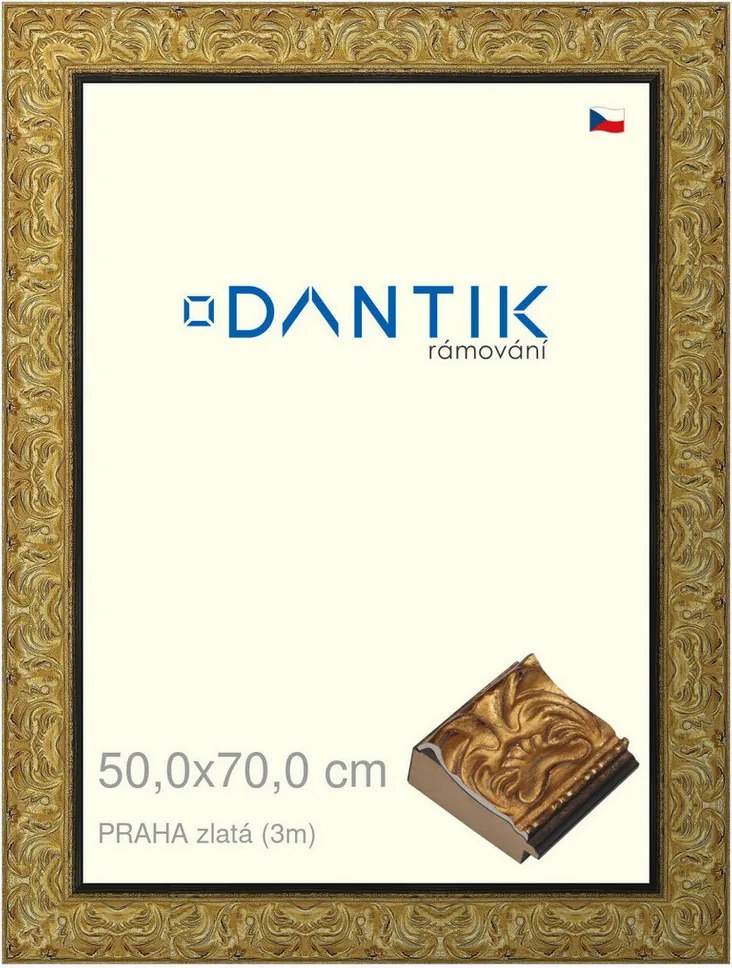 DANTIK rámeček 50x70 | PRAHA zlatá (Plexi Čiré)