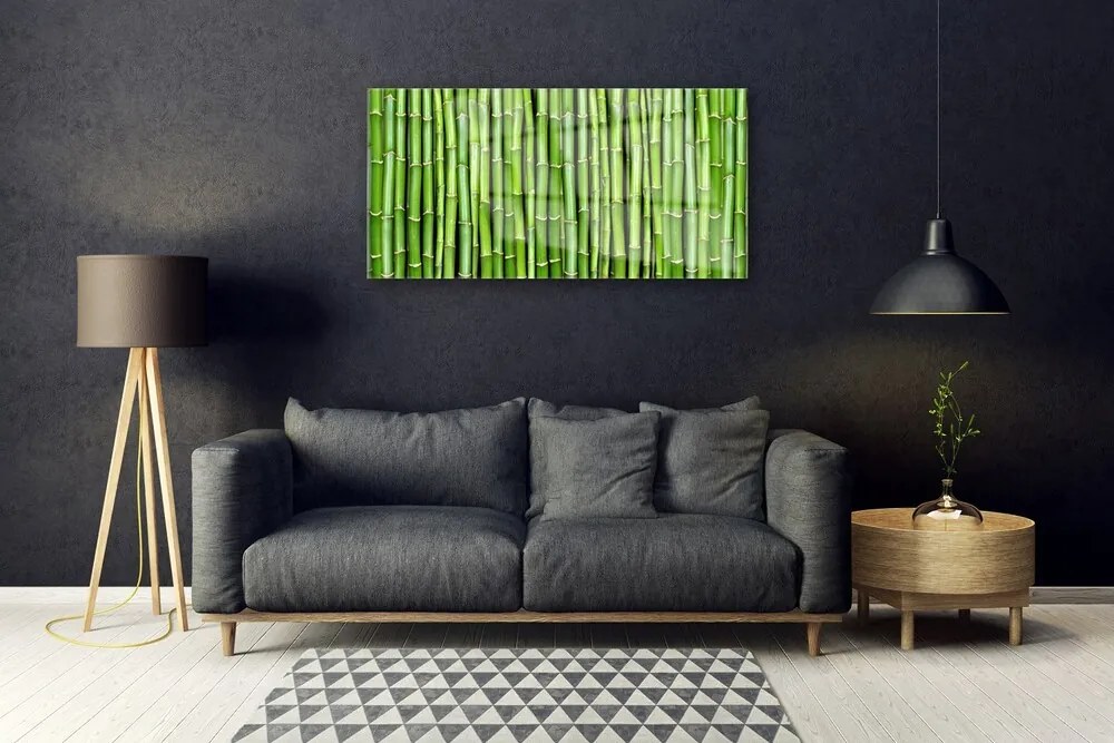Obraz na skle Bambus Květ Rostlina 125x50 cm