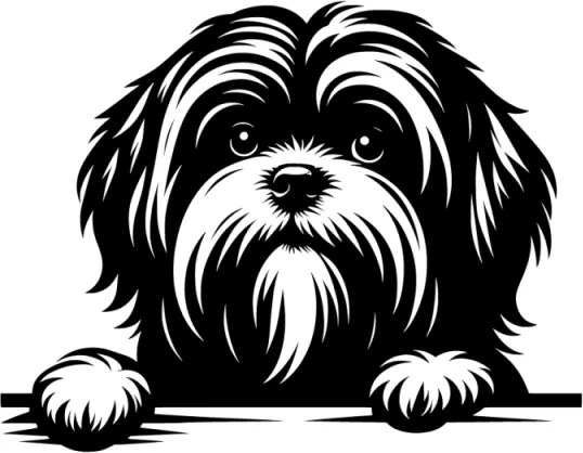 Samolepka pes Lhasa Apso