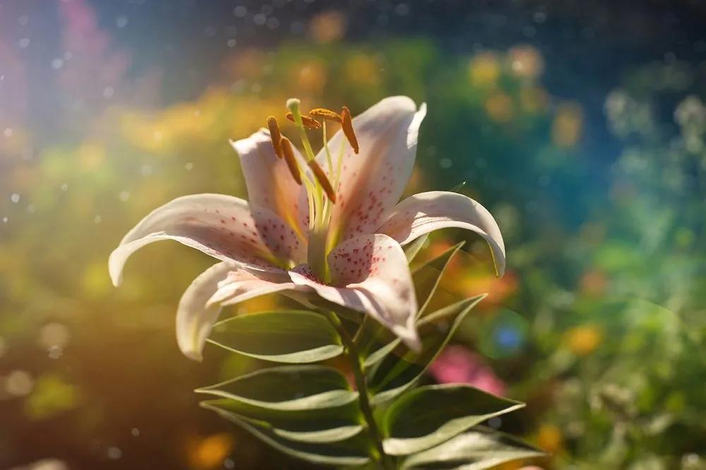 Tapeta nádherný květ s retro nádechem - 225x150 cm