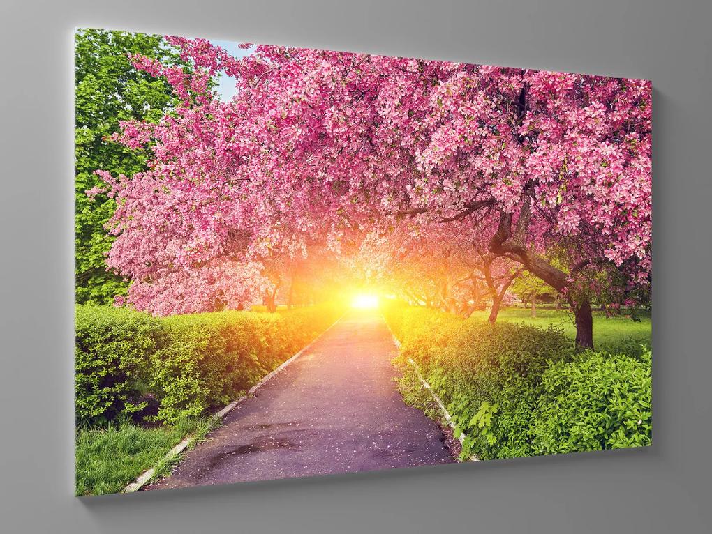 Liox Obraz západ slunce v parku Rozměr: 120 x 80 cm