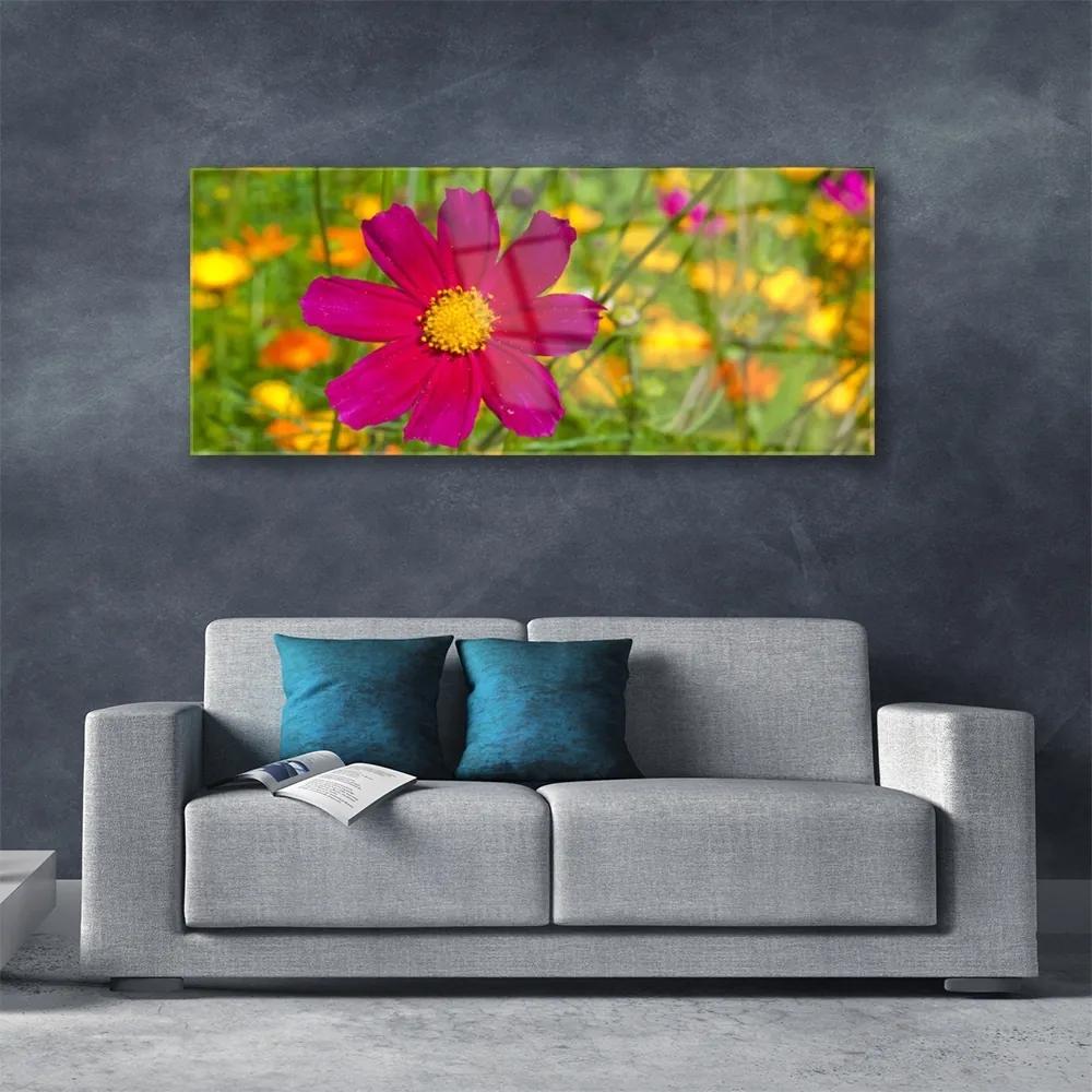 akrylový obraz Květ Rostlina Příroda 125x50 cm