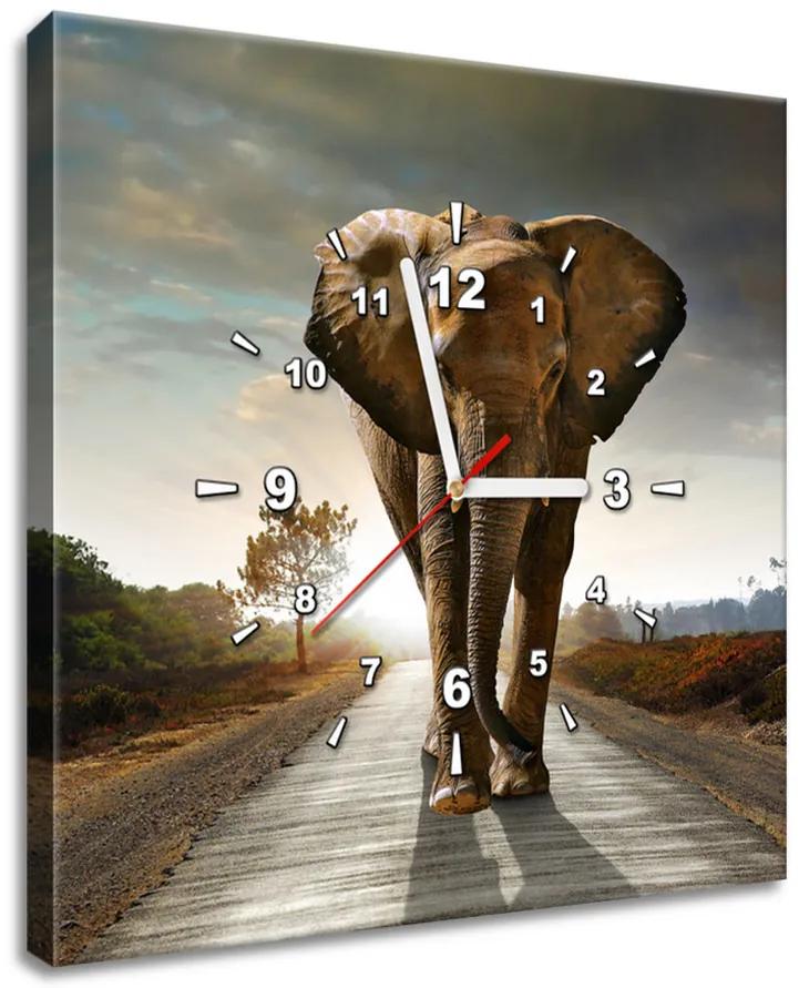 Gario Obraz s hodinami Osamělý silný slon Rozměry: 60 x 40 cm