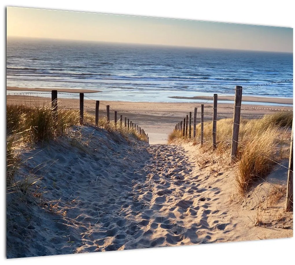 Obraz - Cesta k pláži Severního moře, Nizozemsko (70x50 cm)