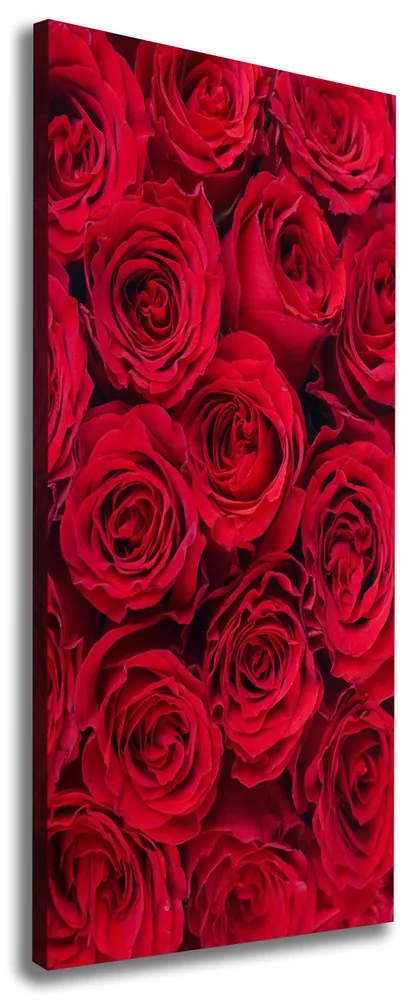 Wallmuralia Foto obraz na plátně Červené růže 50x125 cm