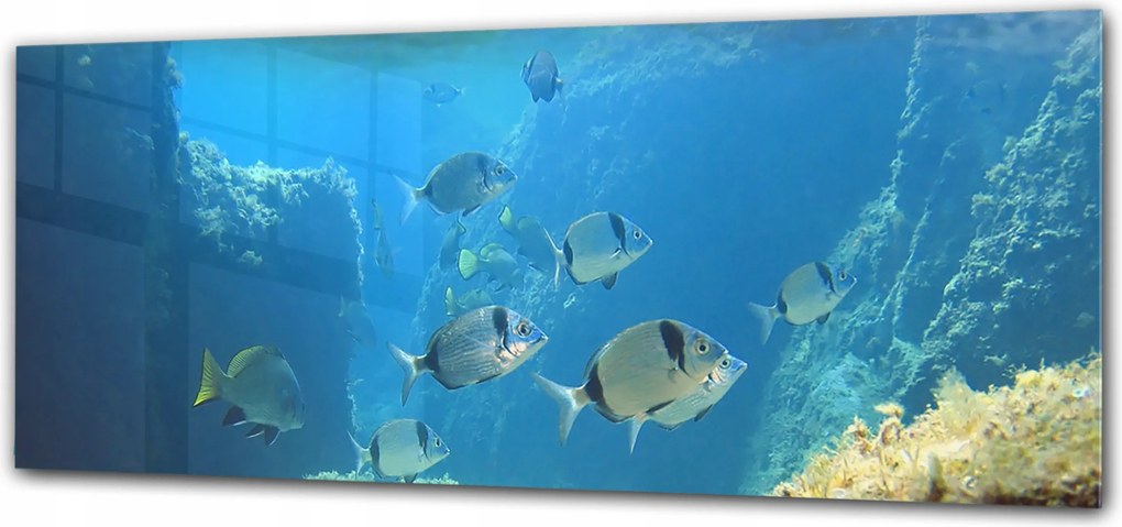 Skleněný obraz do obývacího pokoje 80x30 s potiskem voda