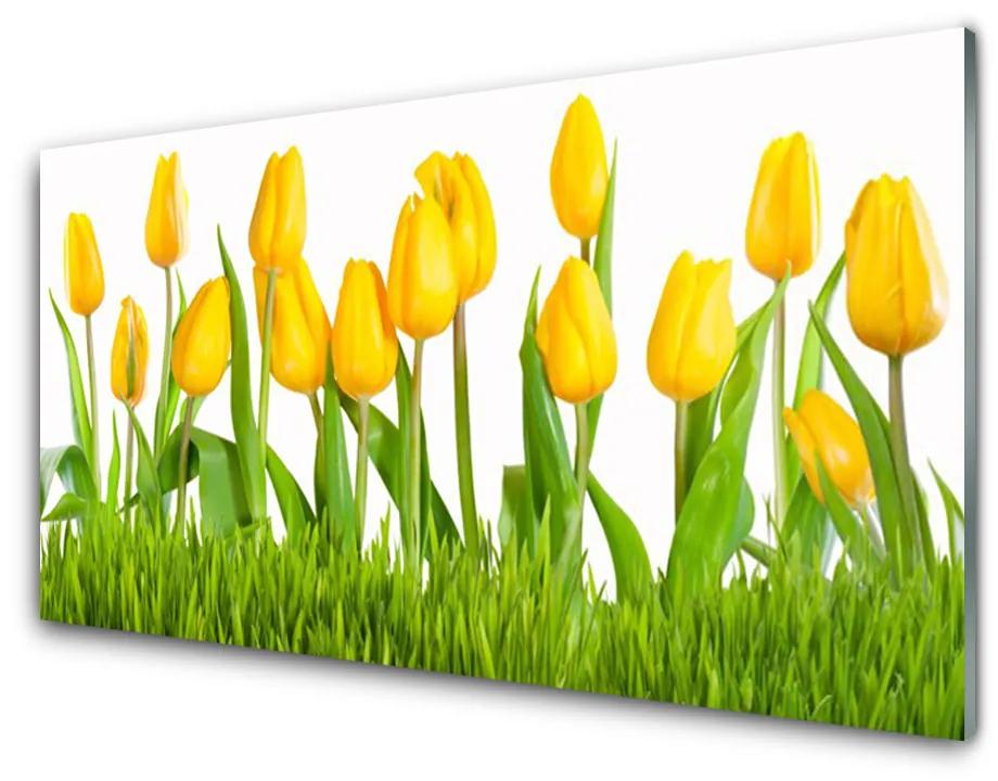 akrylový obraz Tulipány 125x50 cm
