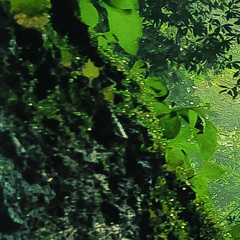 Malvis ® Tapeta Vodopád v tropickém lese Thajsko Vel. (šířka x výška): 216 x 140 cm