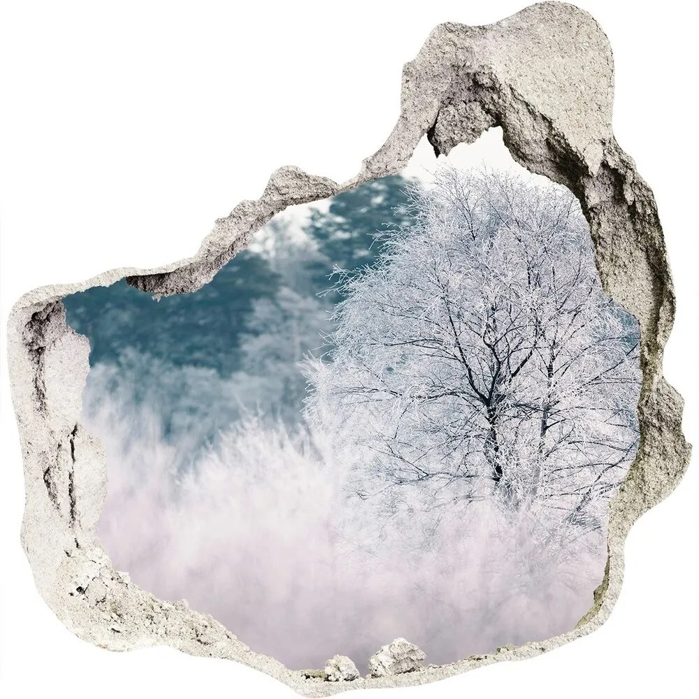 Wallmuralia Díra 3D ve zdi nálepka Stromy zima 75x75 cm