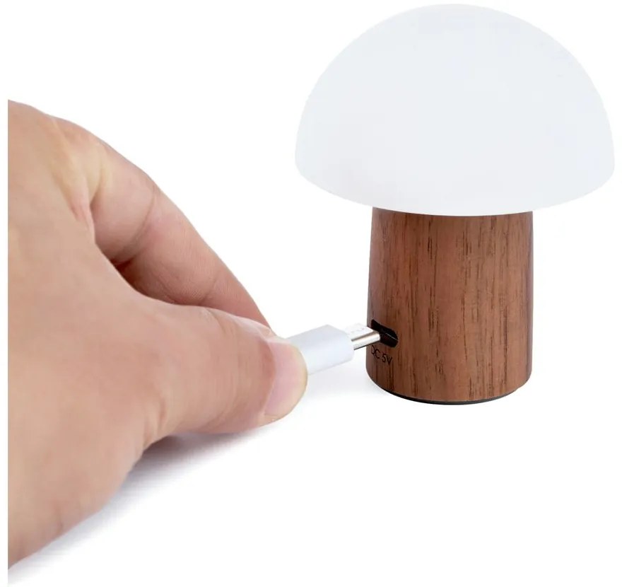 Bílá/v tmavě přírodní barvě LED stolní lampa (výška 7 cm) Alice Mushroom – Gingko