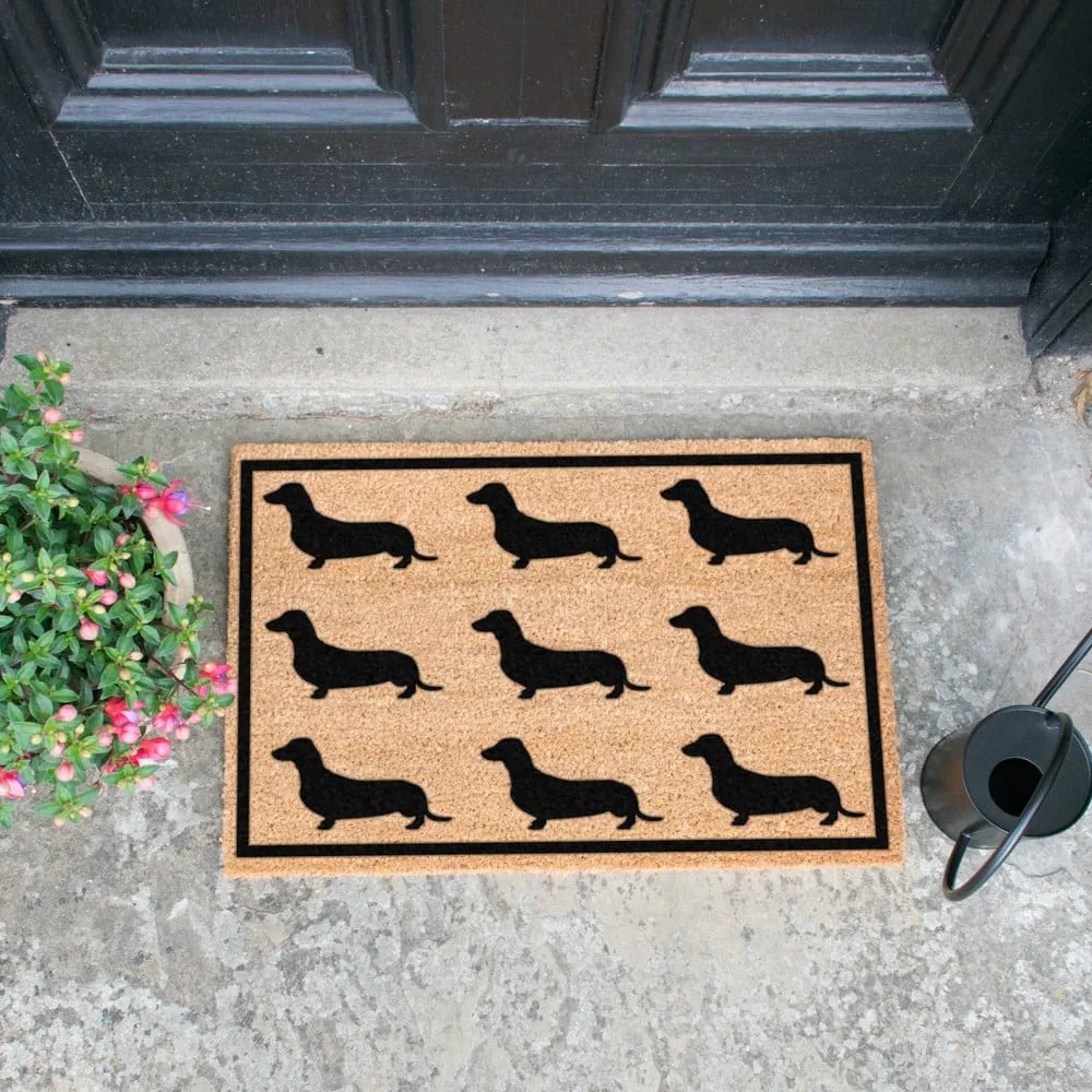 Rohožka z přírodního kokosového vlákna Artsy Doormats Dachshund, 40 x 60 cm