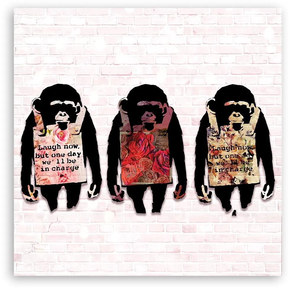 Obraz na plátně, Banksy se směje opice - 60x60 cm