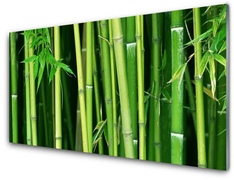 Plexisklo-obraz Bambusový Les Bambus Příroda 100x50 cm