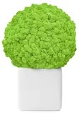 Mechová koule | sobí mech Barva lišejníku: trávově zelená, Průměr: ø 33 cm