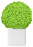 Mechová koule | sobí mech Barva lišejníku: trávově zelená, Průměr: ø 43 cm