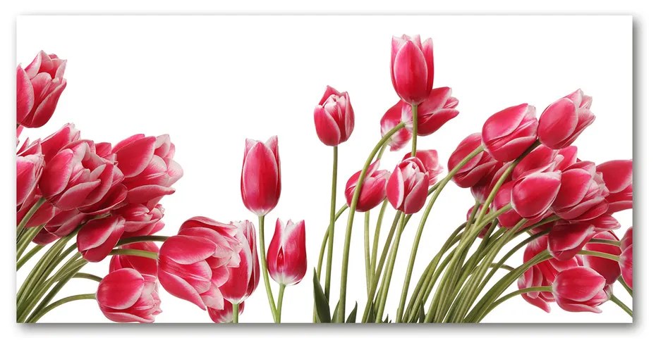 Wallmuralia Fotoobraz na skle Červené tulipány 100x50 cm