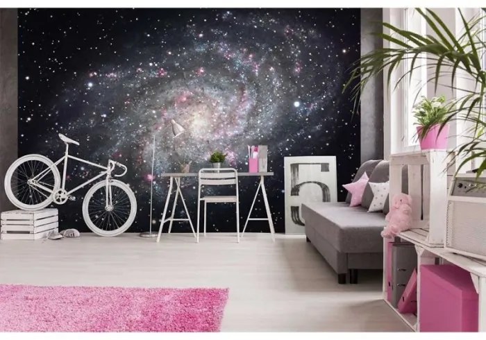 DIMEX | Vliesové fototapety na zeď Galaxie MS-5-0189 | 375 x 250 cm| černá, šedá, růžová