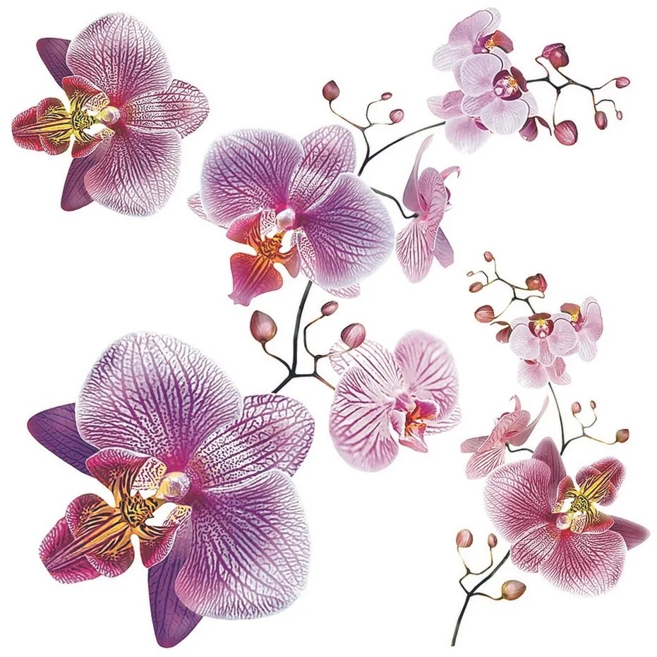 Samolepicí dekorace Orchids, 30 x 30 cm