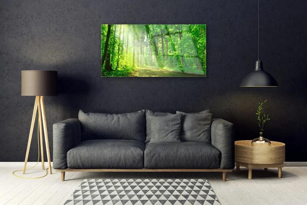 Obraz na skle Les Cestička Stromy Příroda 125x50 cm